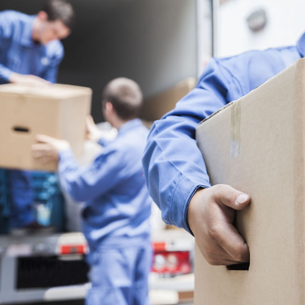 Fast Delivery Services