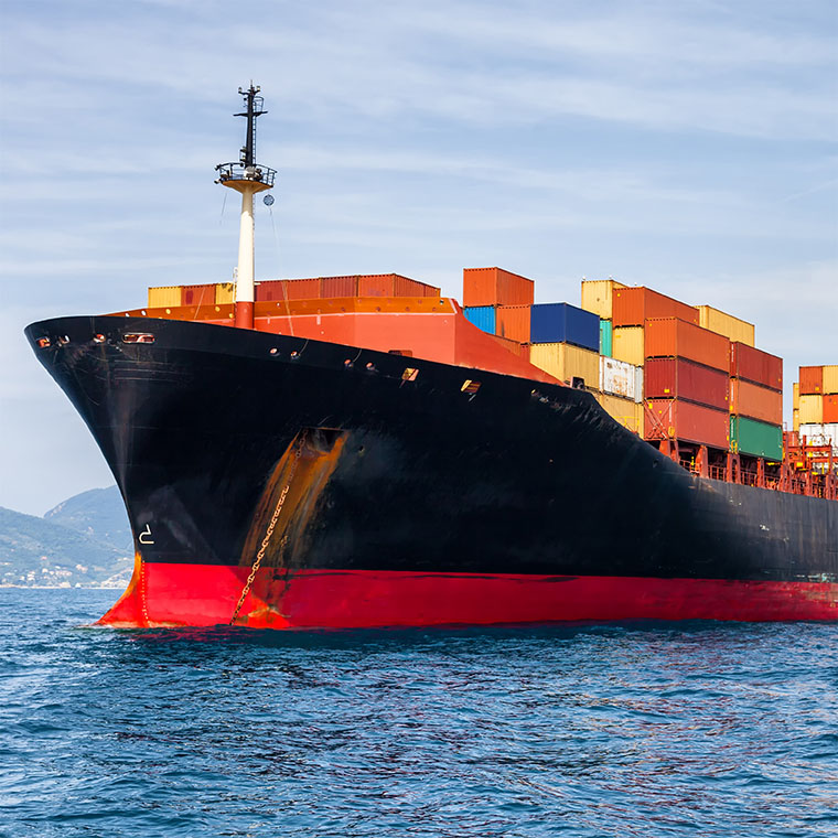 Fast Delivery Services